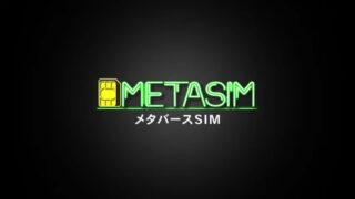 メタバースSIM (METASIM) のメリットやデメリットを解説！ | SimChoice